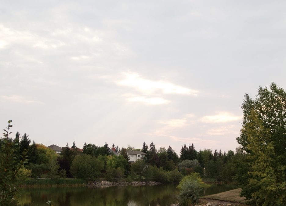 Castle Downs is King | Edify.