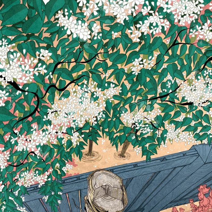 #YEG: Beauty and the Birch | Edify.