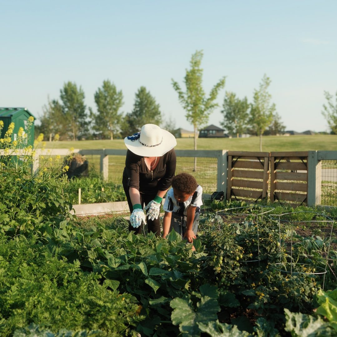 Good Neighbours | Edify.