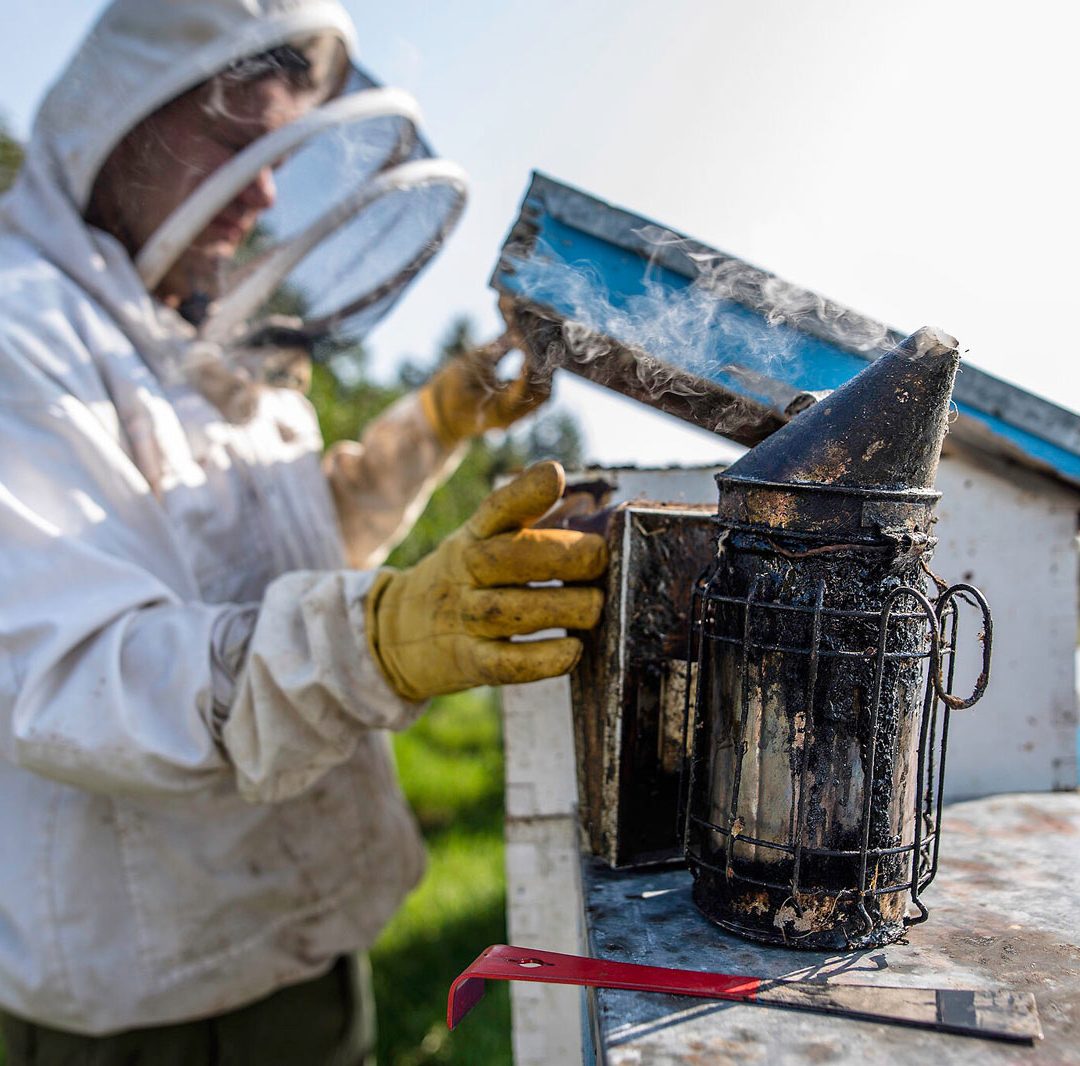 Building the Buzz | Edify.