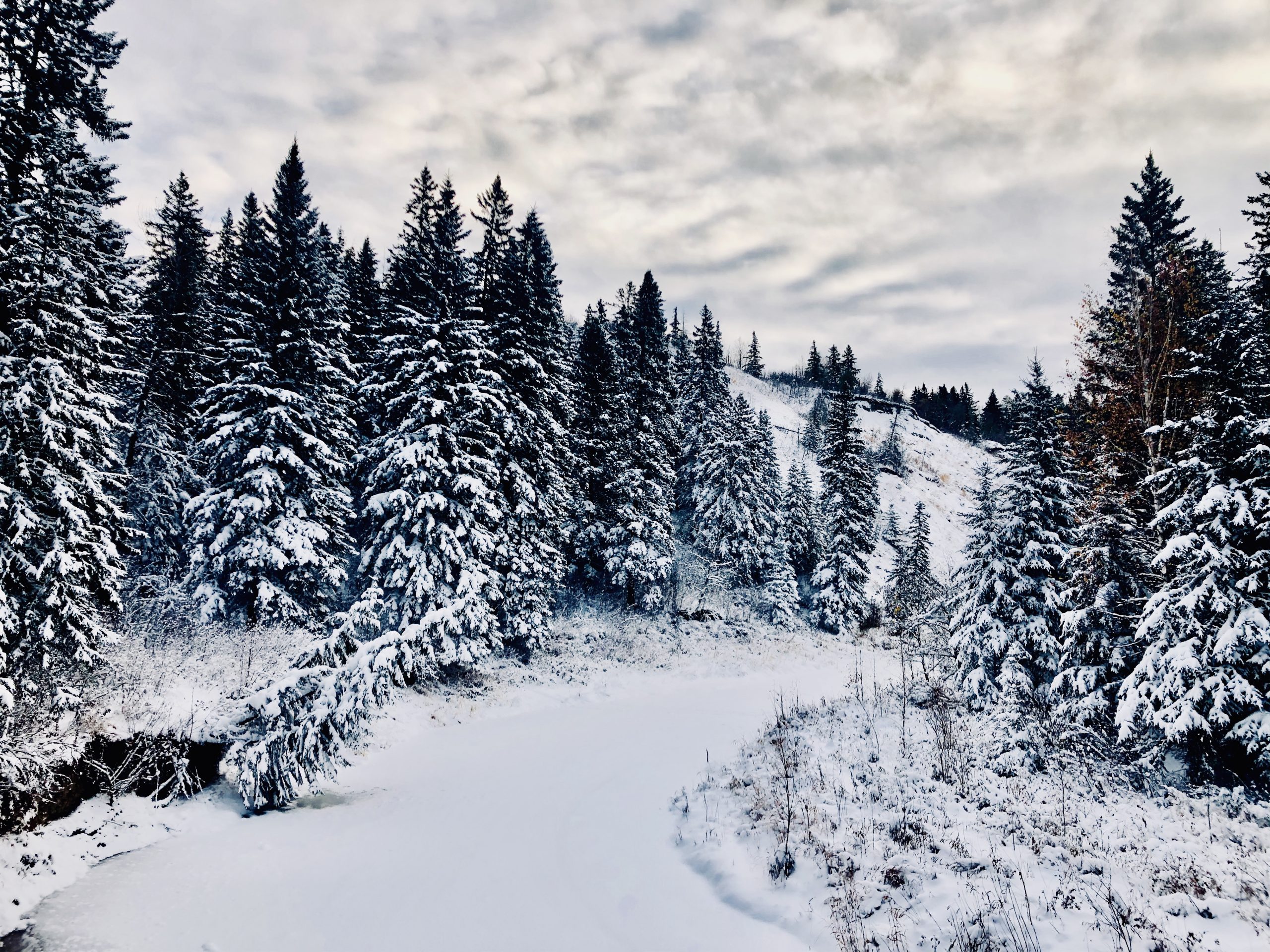 Snowy Trails | Edify.