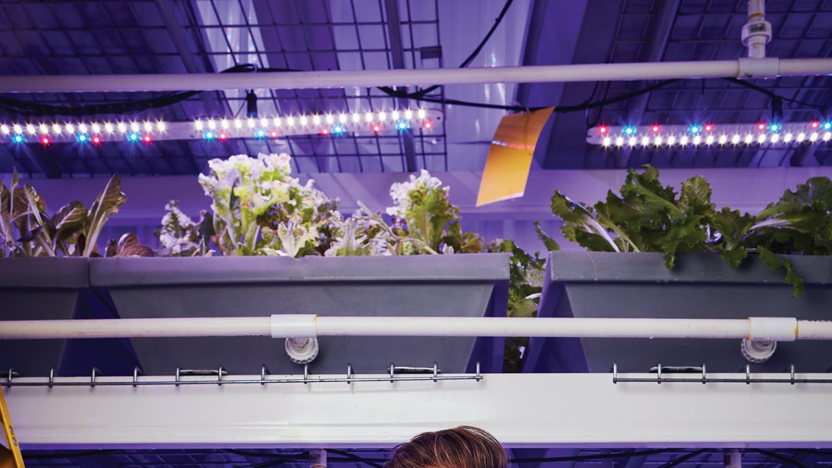 Ryan Tucker | Edify.