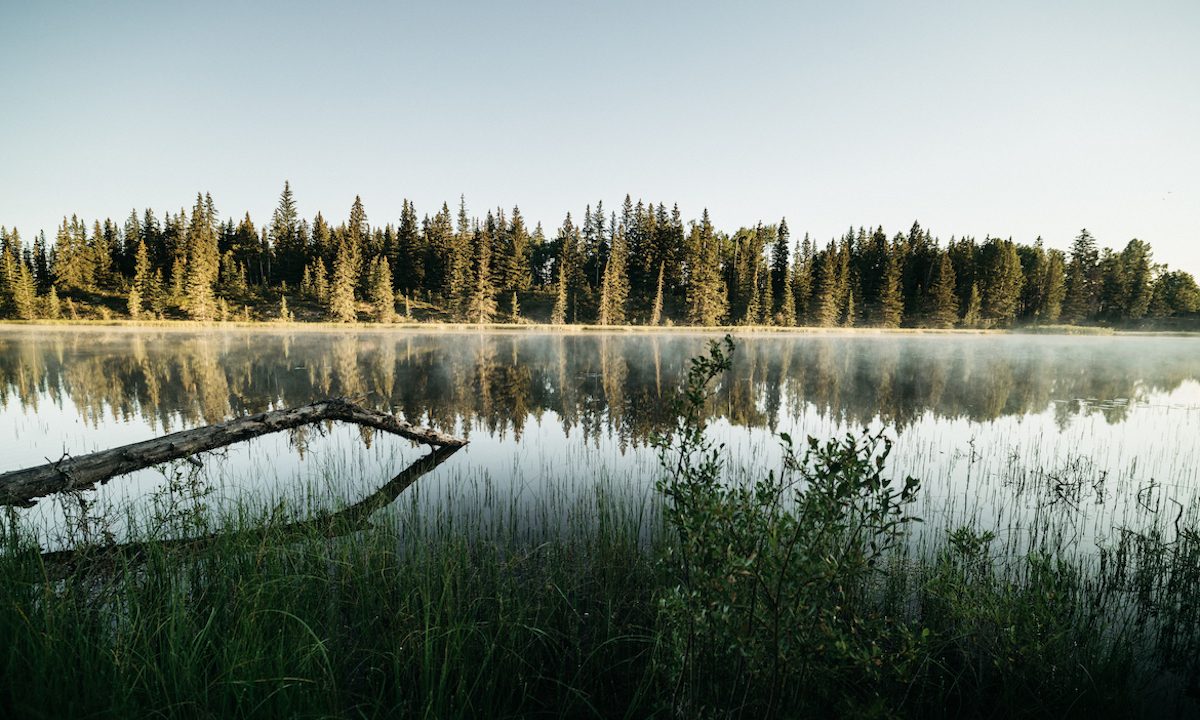 Alberta’s Most Beautiful Natural Resource | Edify.