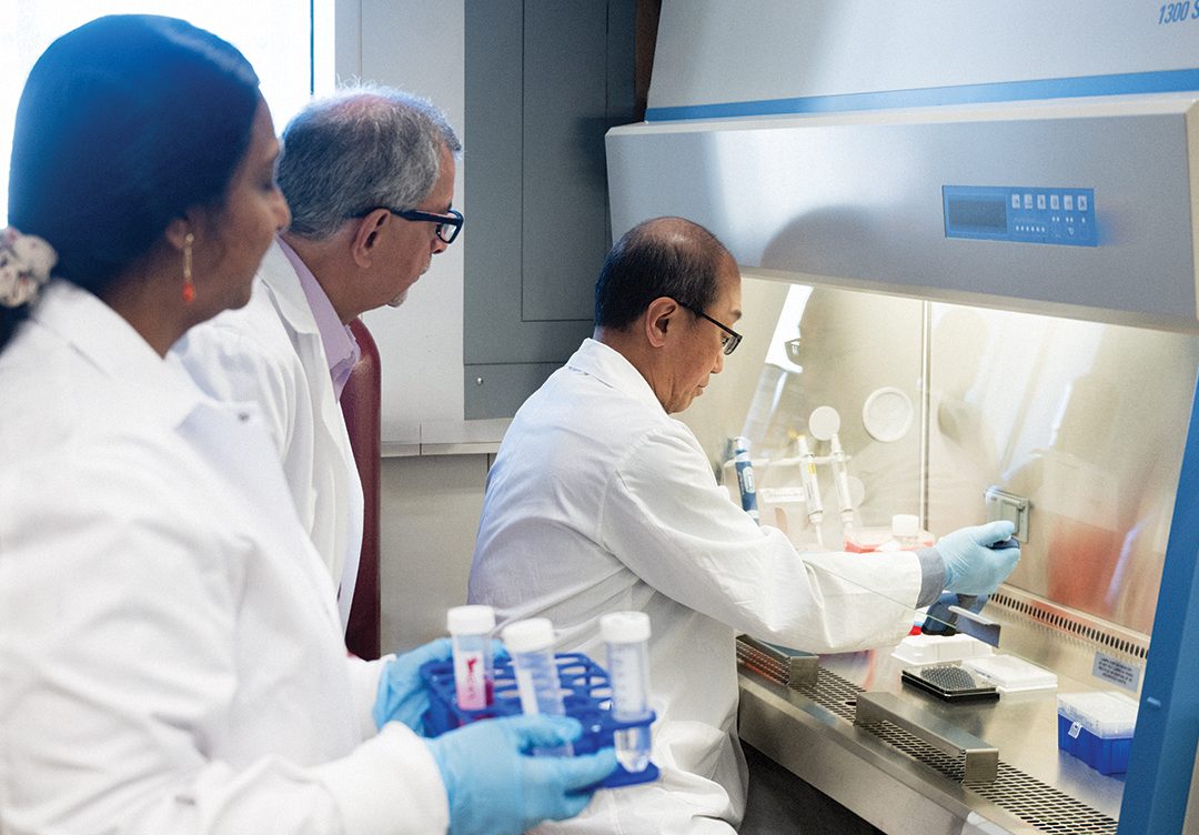 Distant Memory | Edify.