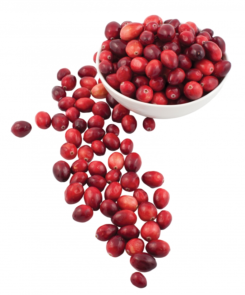 The Ingredient: Cranberries | Edify.
