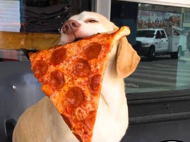 Pizza Pigout's Drive-in Halloween Show | Edify.