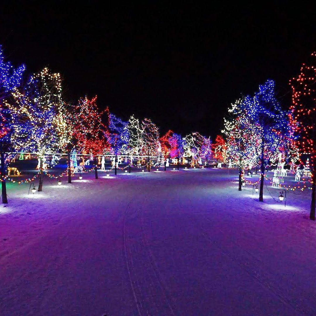 Look to the Lights | Edify.