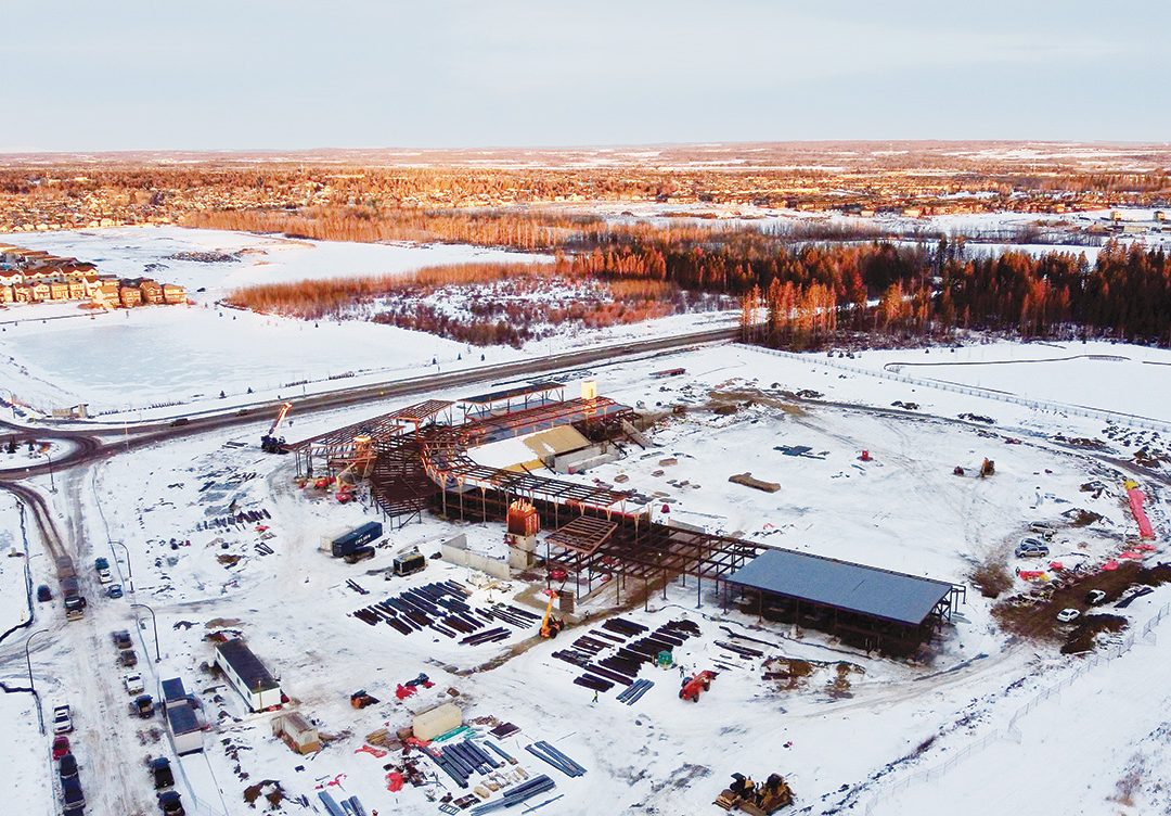 Shine On, You Crazy Diamond | Edify.